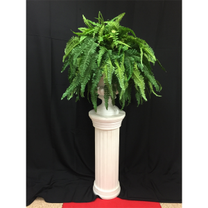 Column - 33" - Barrons Barrons