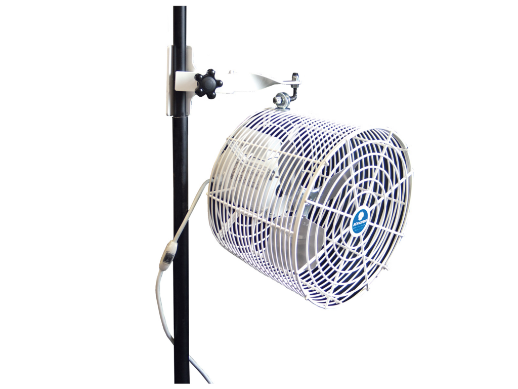 Tent Fan - Barrons Barrons